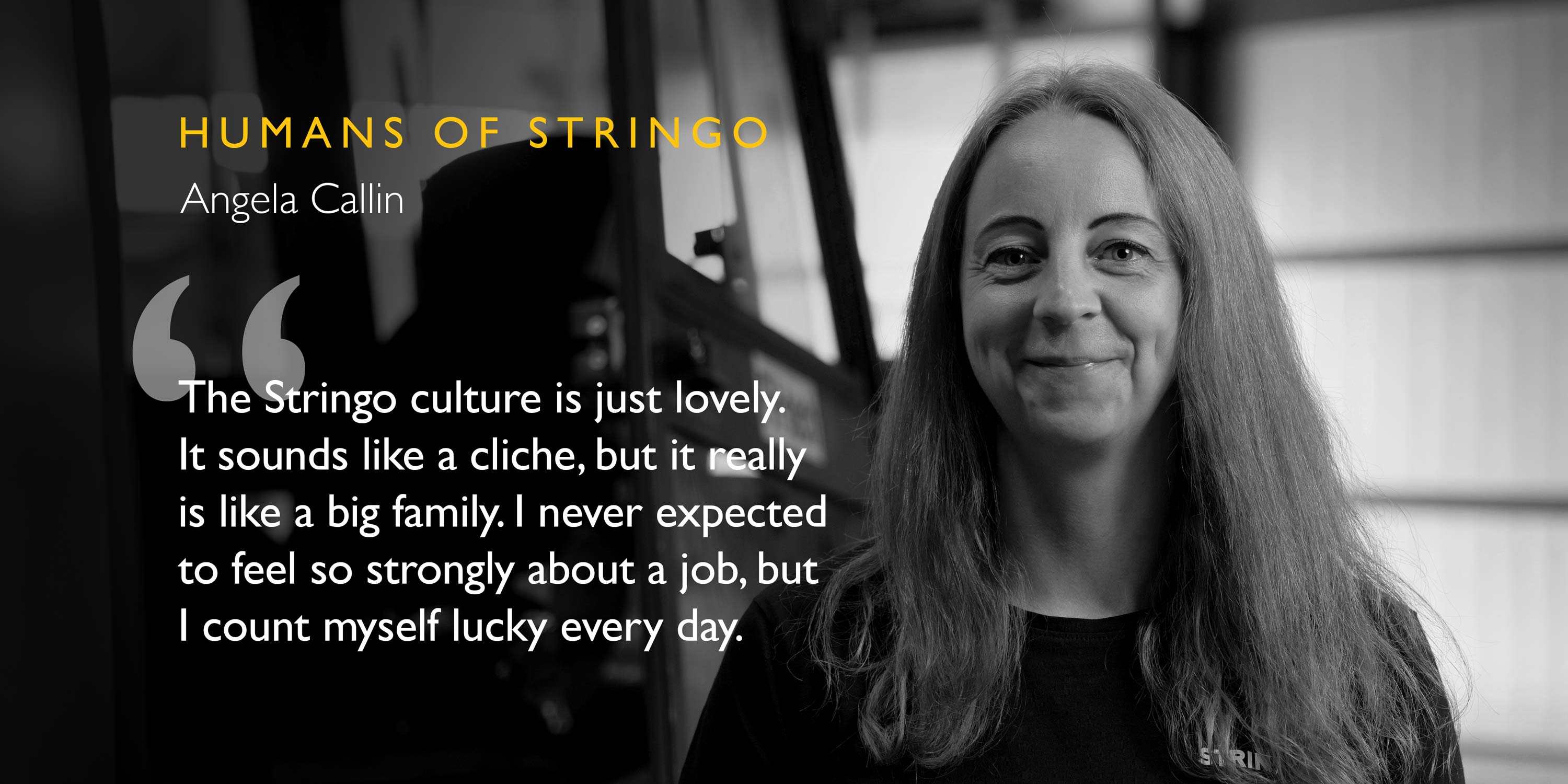 Stringo Product sheet S3+